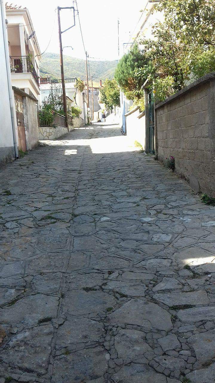 ΛΕΧΟΒΟ ΑΜΥΝΤΑΙΟΥ ΦΛΩΡΙΝΑΣ και ΚΟΡΕΣΤΕΙΑ ΚΑΣΤΟΡΙΑΣ : Φωτογραφικό υλικό ...