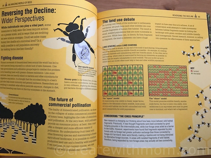 Create With Mom: Appreciating Nature and Giveaway for The Bee Book