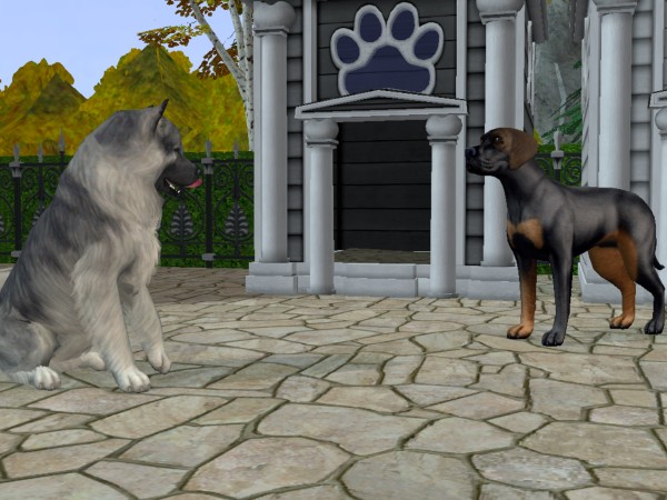 Wishful Thinking In TS2: Veronaville Rnd 2, Lot 1 - Capp - Consort