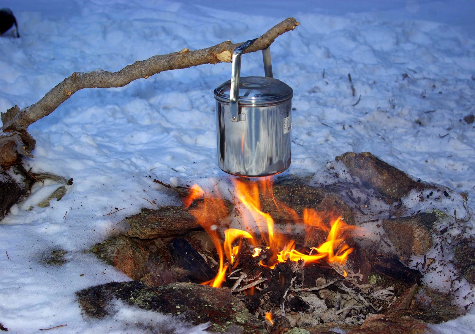 Rocky Mountain Bushcraft: Gear Review: Zebra Billy Pots