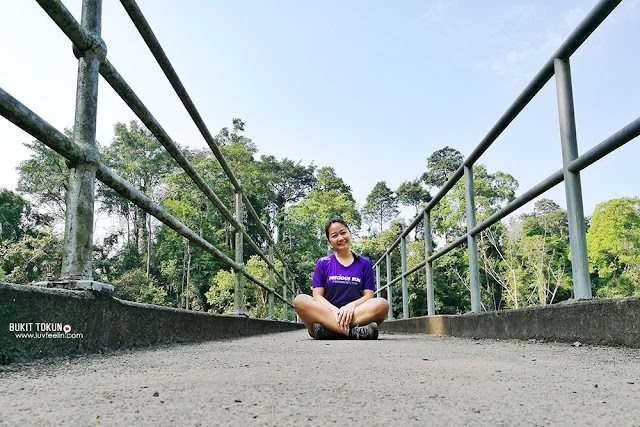 Bukit Tokun 大山脚卓坤山[必拍]大树 - 乐飞翎 ♥ LUVFEELIN