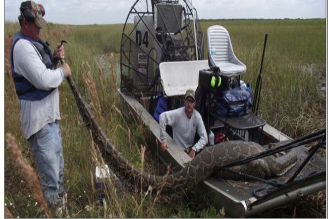 Ridiculously inconsistent trickle of consciousness: 2012