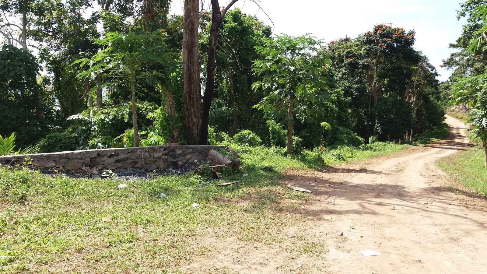 Blog Wisata Sulawesi Utara, Indonesia: TAMAN HUTAN RAYA GUNUNG TUMPA ...