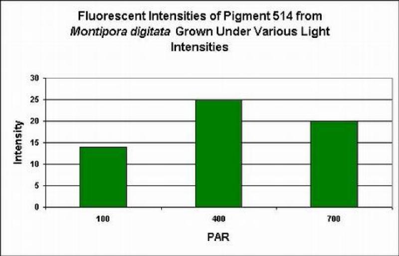 JackDanielReef di Daniele Russo: Come rendere i coralli più colorati ...