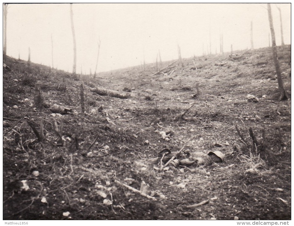 Verdun 1916: 24 February 1916. Day 4 - German advances, French losses