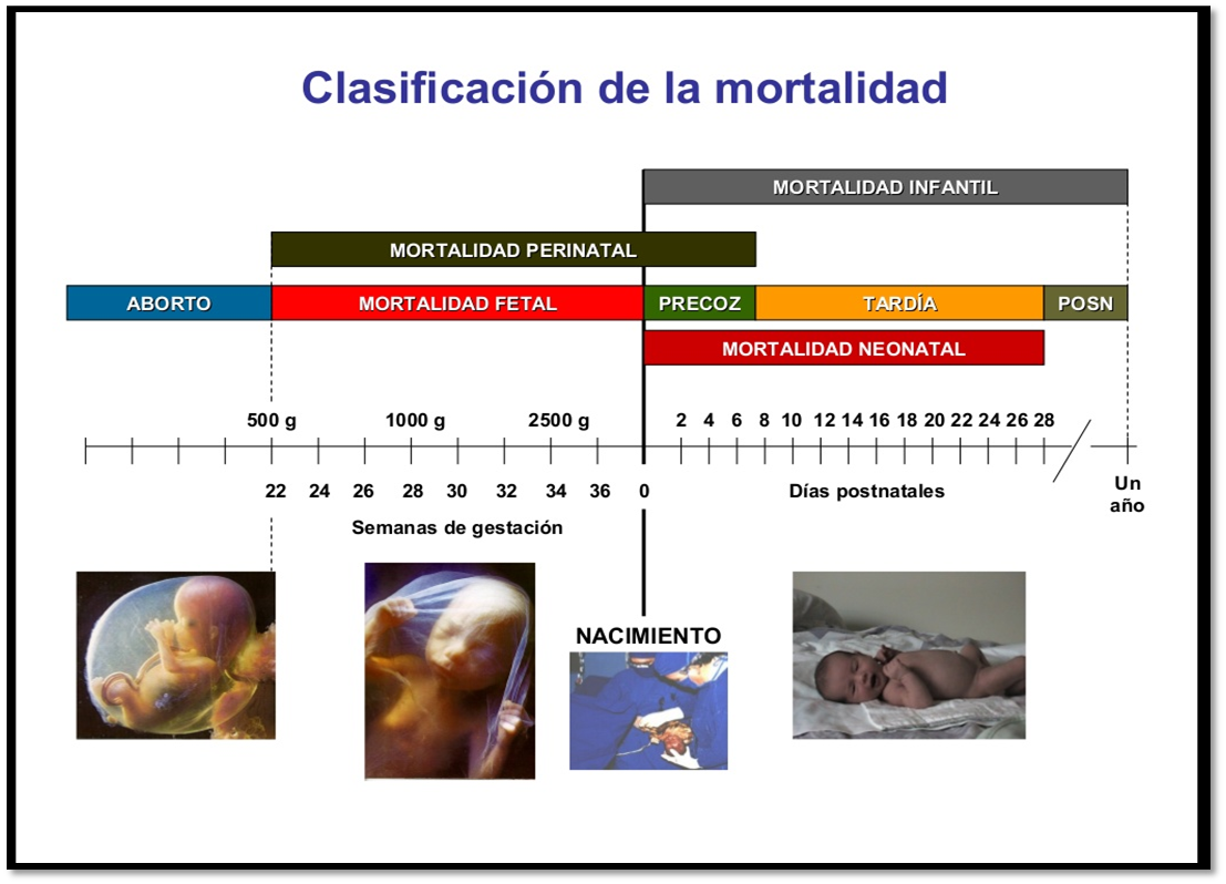 Epidemiologia_Mortalidad Perinatal y Neonatal