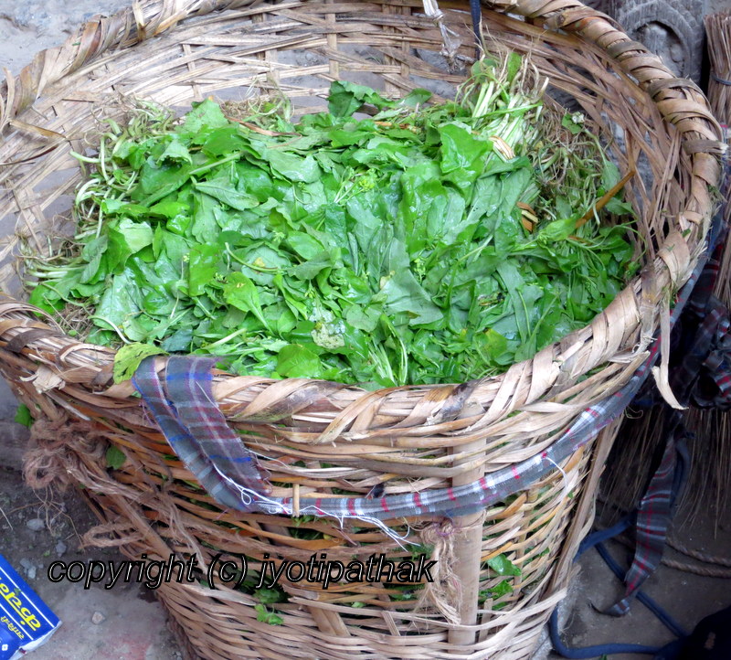 Taste of Nepal: Mustard Oil - Tori ko Tel - (तोरी को तेल)