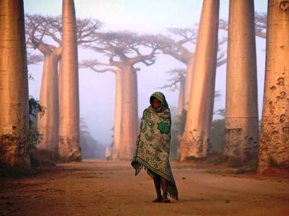 Il mio Madagascar : Route Nationale 8 - La via dei baobab in Madagascar