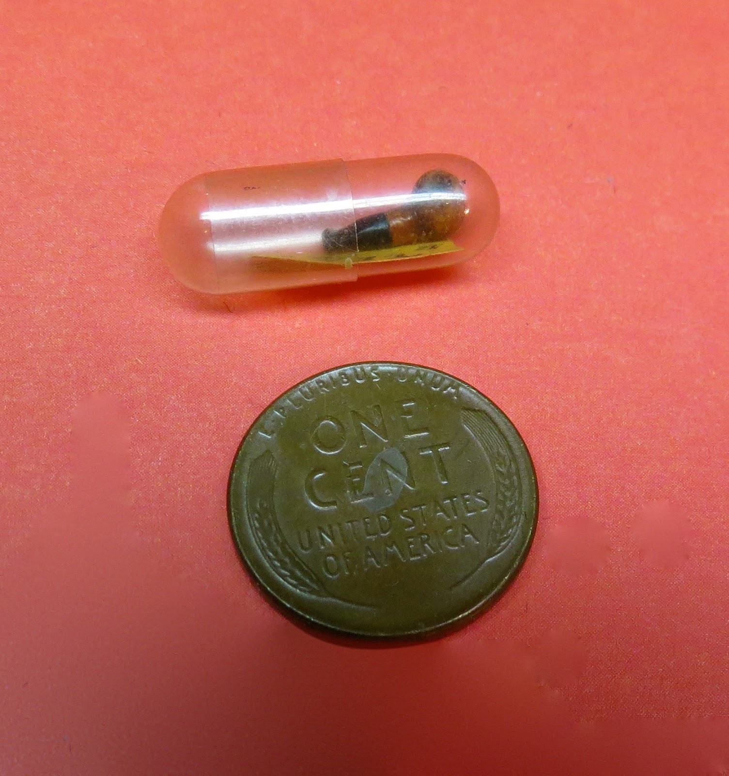 Patricia Paul Studio: The Heart of the Miniature MATTER.