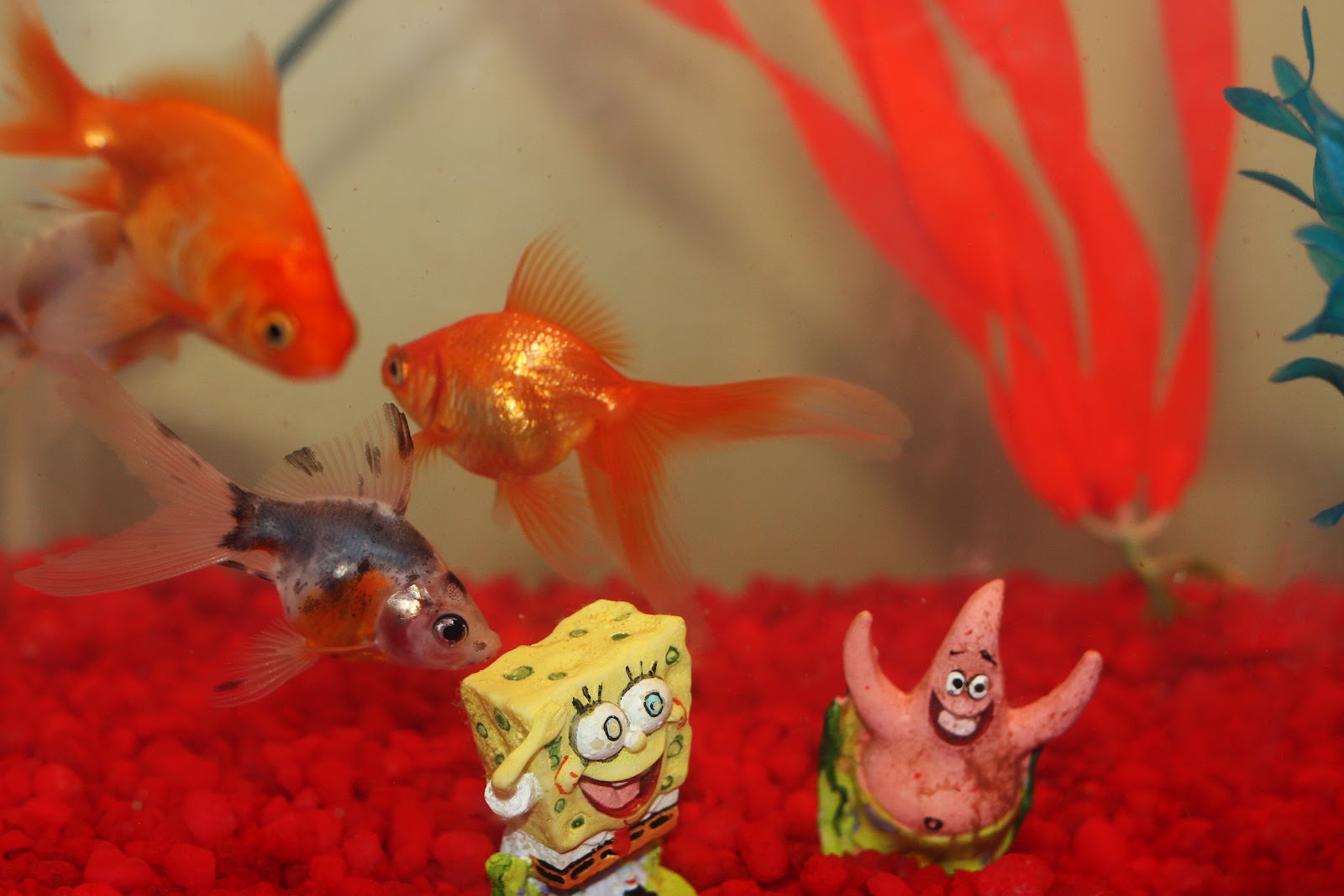 Round The Bend: SpongeBob SquarePants!