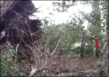 Marras Stuff: 99 Gifs Volumen 14 (Impresionantes, raros, divertidos y ...