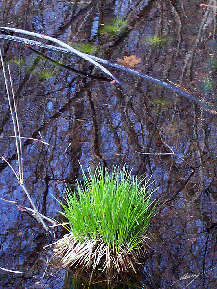 casey/artandcolour: Mega SpringColour Post, Early May 2011