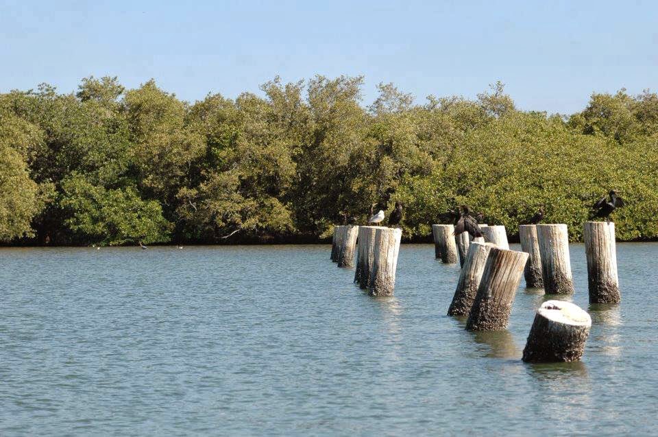 Playas del Sur de Sonora: Yavaros