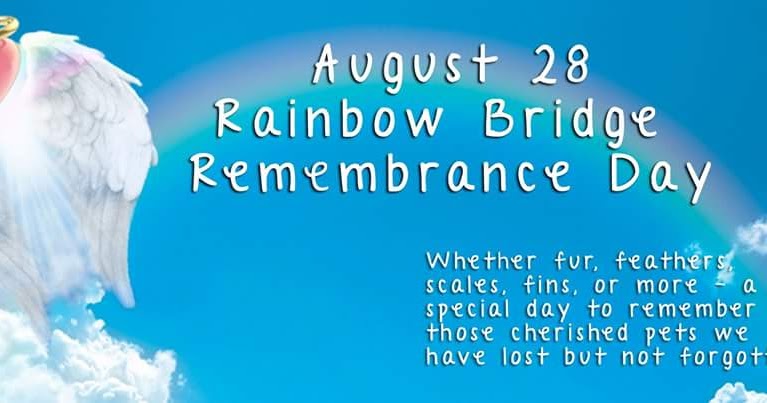 As the World Purrs: Rainbow Bridge Remembrance Day 2016