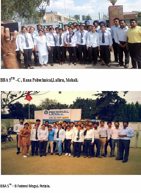 TPO BFCMT: December 2013