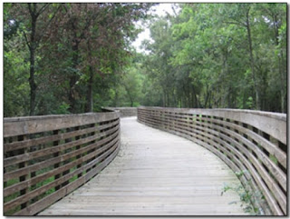 Return to Zero: George Bush park trail