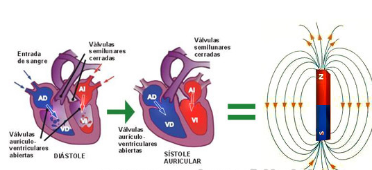 MOMENTOS: GRAN CORAZON HUMANO