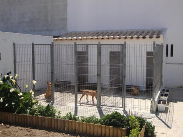 Canil para cachorro: 10 opções para lhe inspirar!