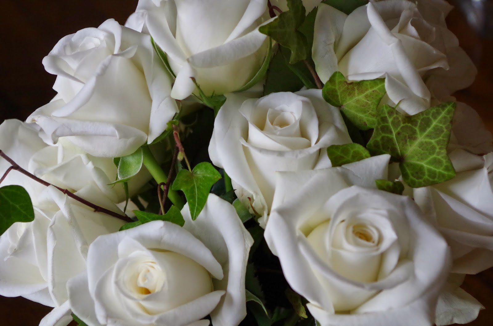 California Blooms- Boutique Roses Grown in California! - Northern ...
