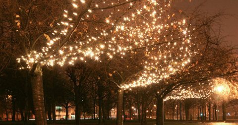 a spot of whimsy: fall for fridays: twinkling lights.