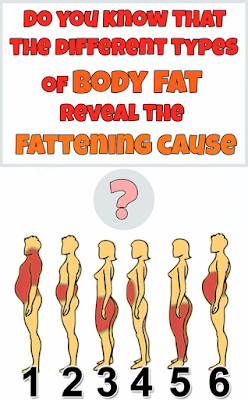 Do You Know That The Different Types Of Body Fat Reveal The Fattening ...