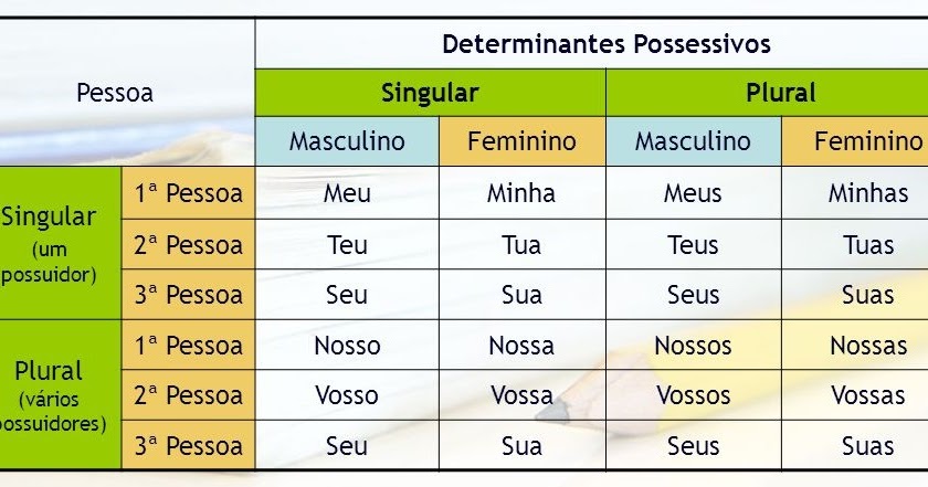 Pequenos Curiosos Se9 Os Determinantes Possessivos