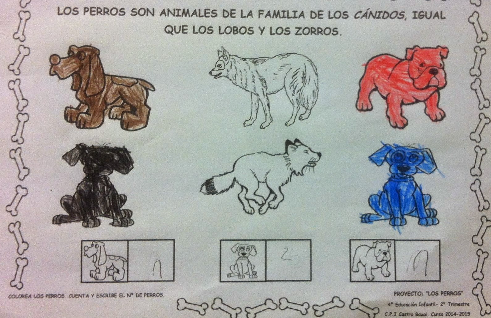 Cole de colores: ¿QUÉ ESTAMOS ESTUDIANDO SOBRE LOS PERROS?