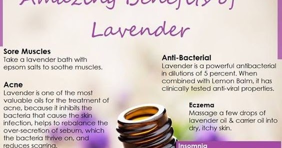 Health Benefits of Lavender