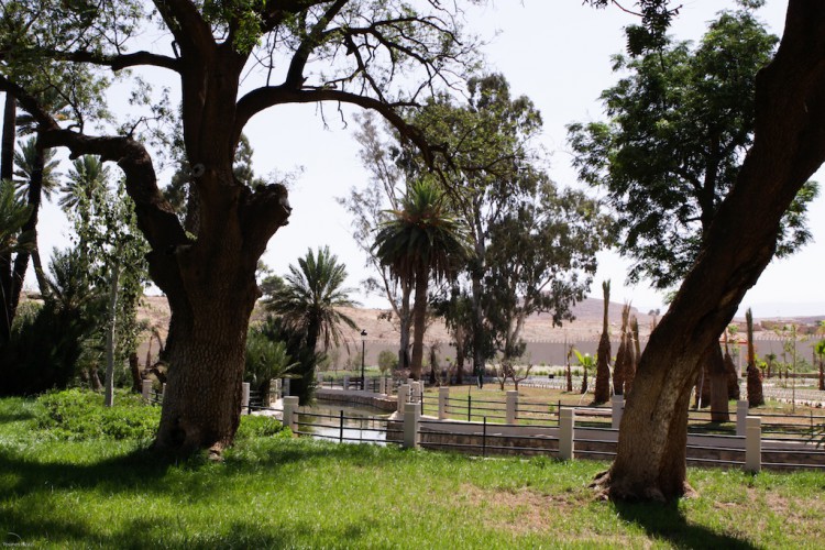 L’Oasis de Sidi Yahya - Est Maroc