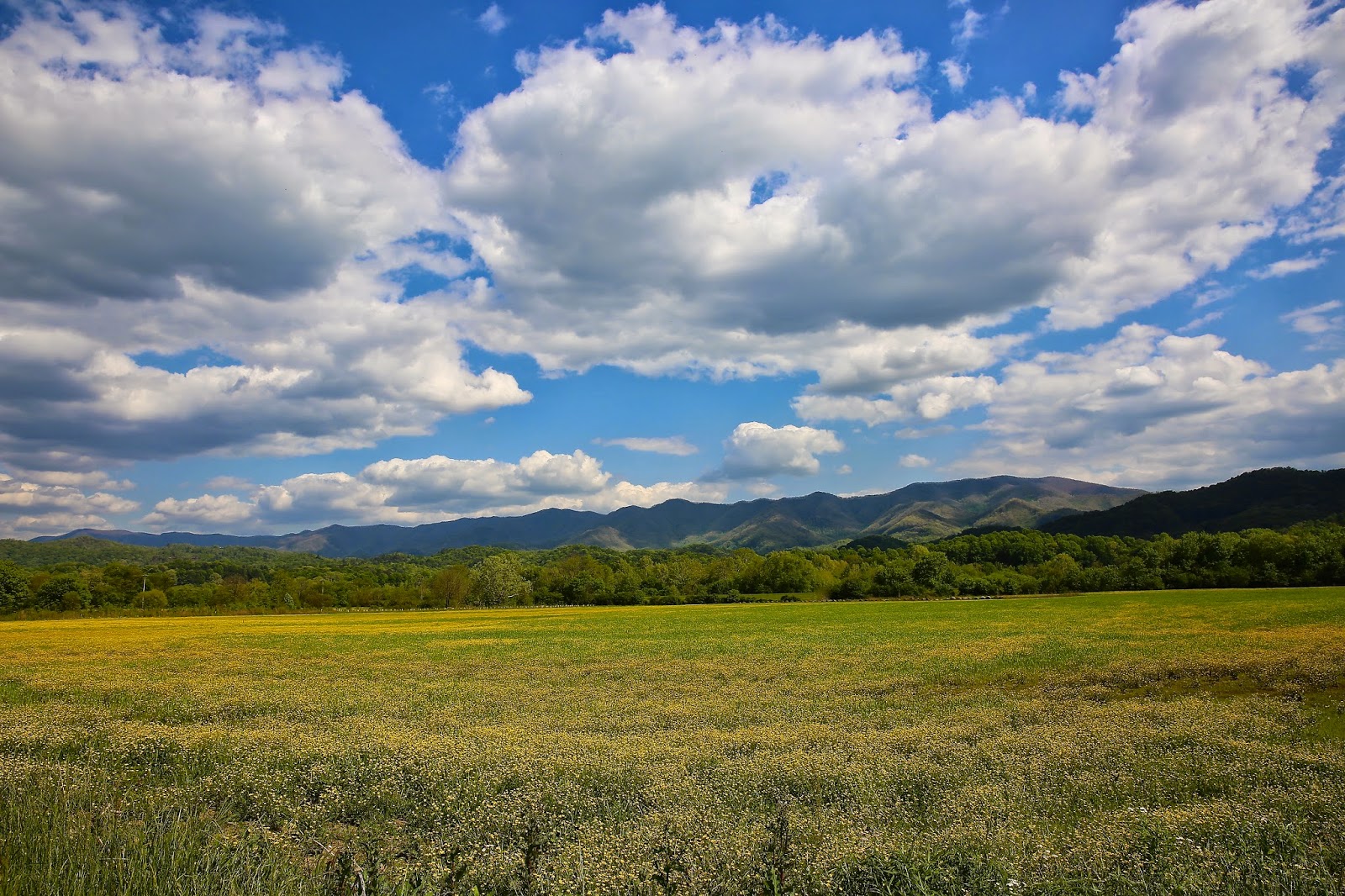 Sweet Southern Days: Springtime In The North Carolina Mountains
