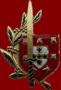 Ultimas Curiosidades: FORÇAS ESPECIAIS VI – Comandos