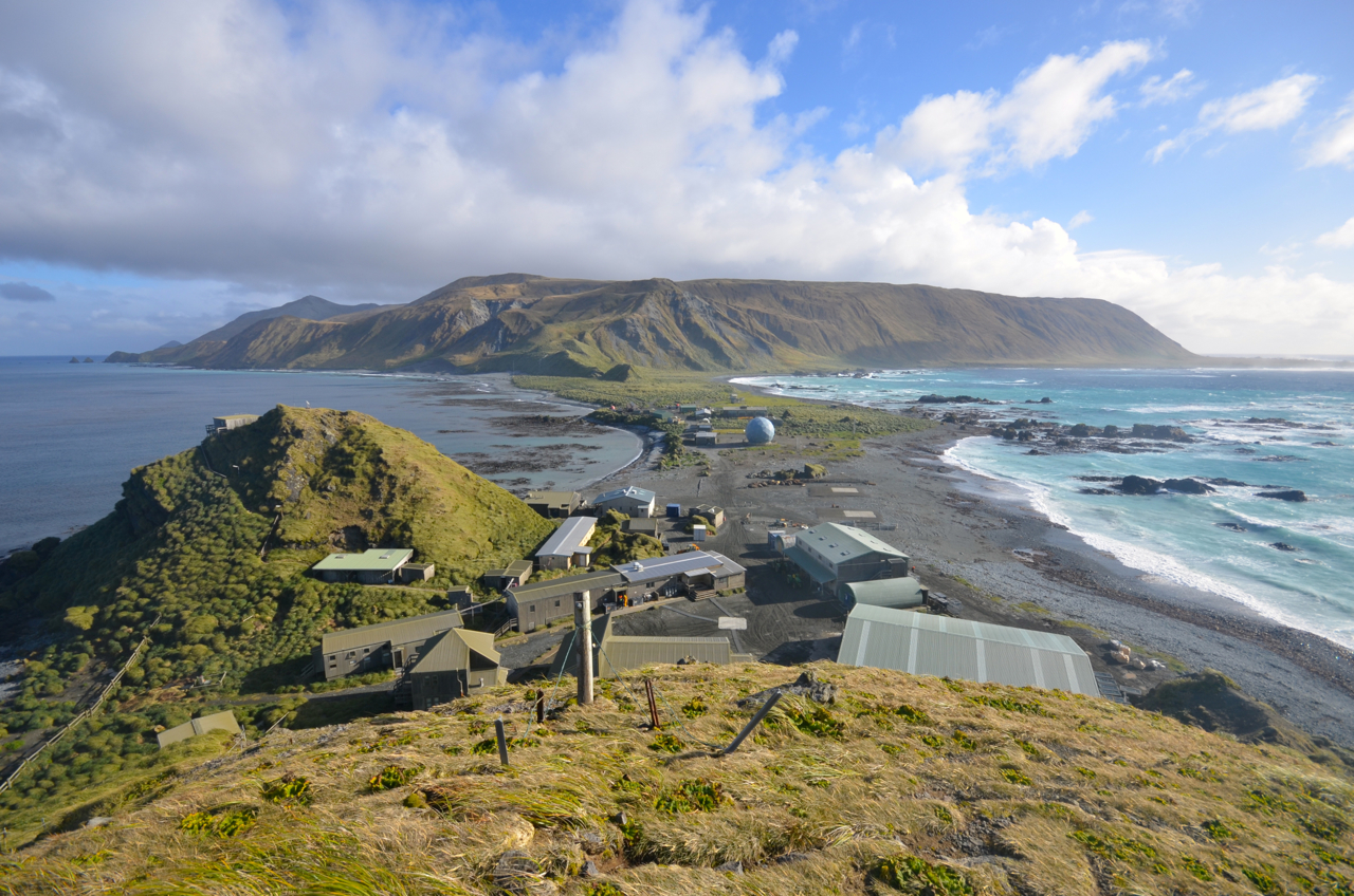 Macquarie Island Adventure: Settling in to Life on Macca