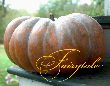 Good Books For Young Souls: book-or-treat: literary pumpkins!