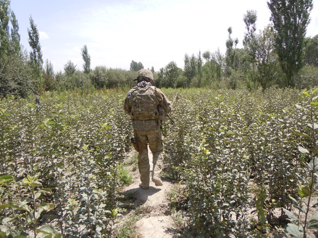 Afghanistan Experience: First week at FOB Gardez