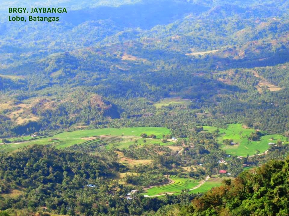 Ser Montaineer: MT. NAGUILING