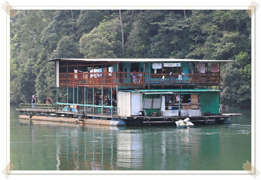 Jom singgah Terengganu...: #4 RUMAH BOT TASIK KENYIR - JENIS-JENIS ...