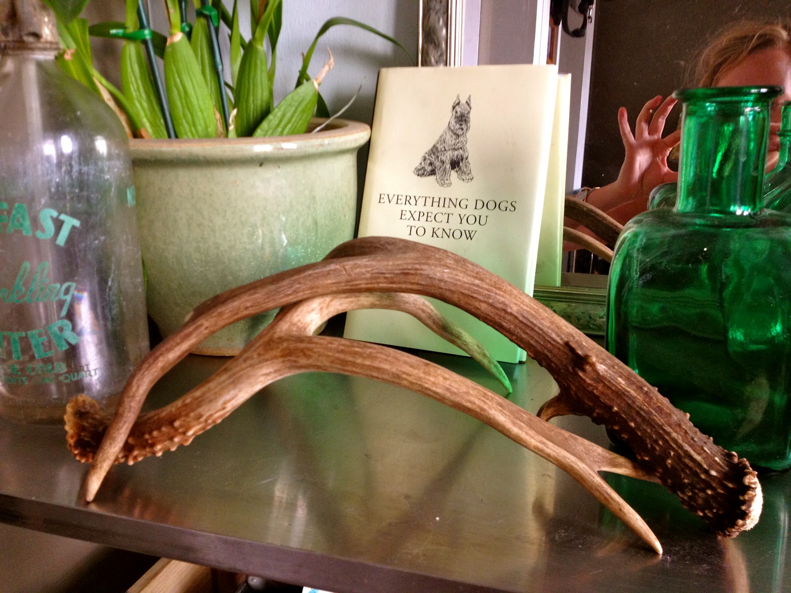 HANNAH COLLINS DESIGN BLOG