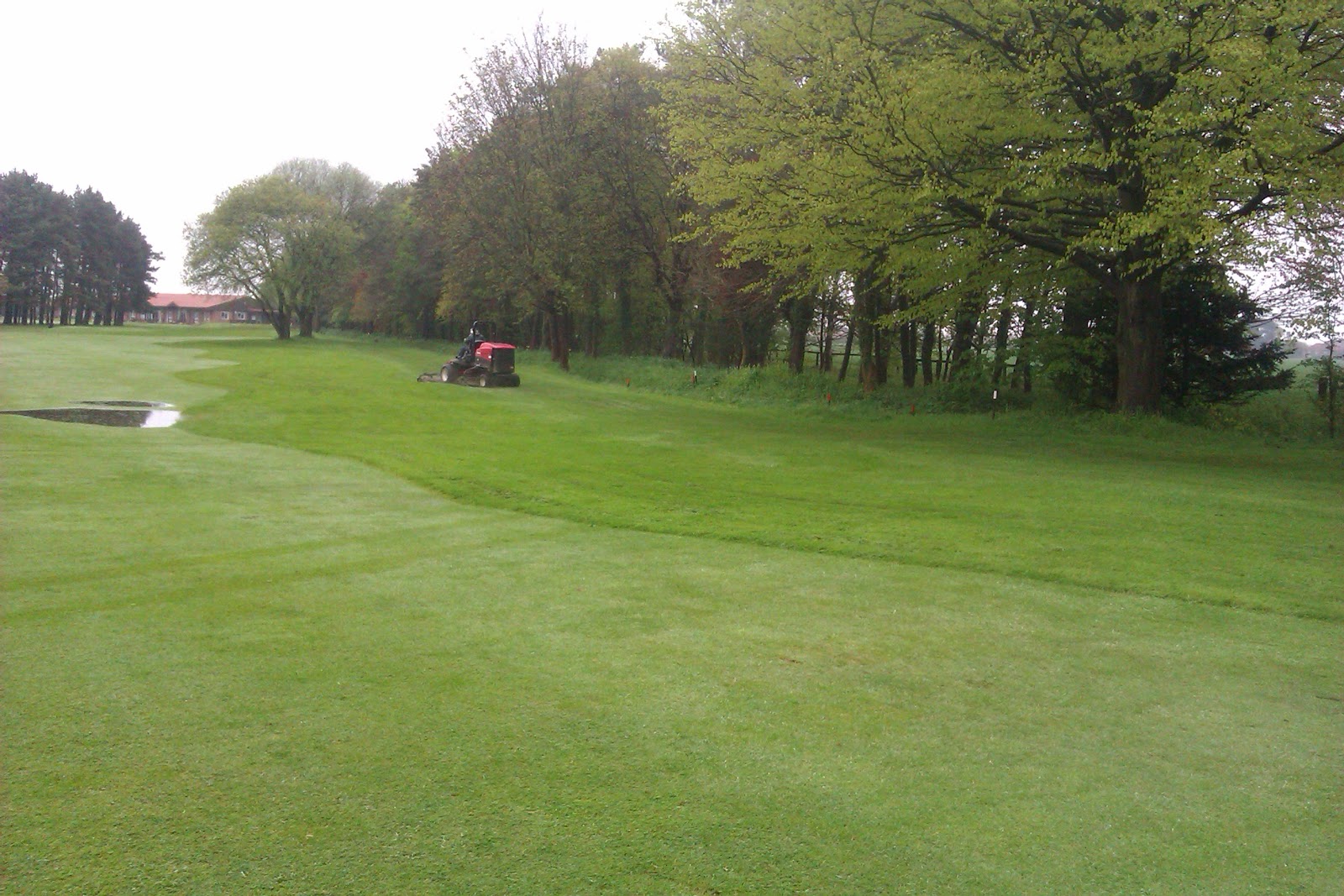 Malton and Norton Golf Club Greens Department: Back to normal (raining)
