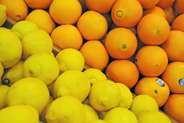 shauna crandall {the photography blog}