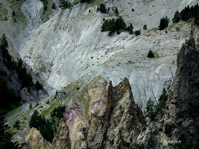 Un jour....Une photo !: Cheminer ensemble vers les sommets .....Mt Lozère