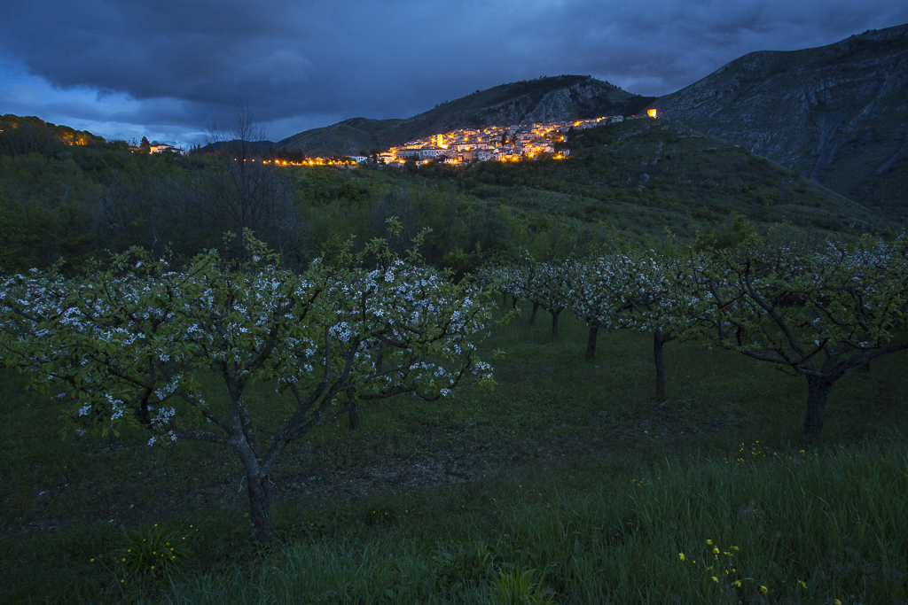 B&B MILONIA: GALLERY