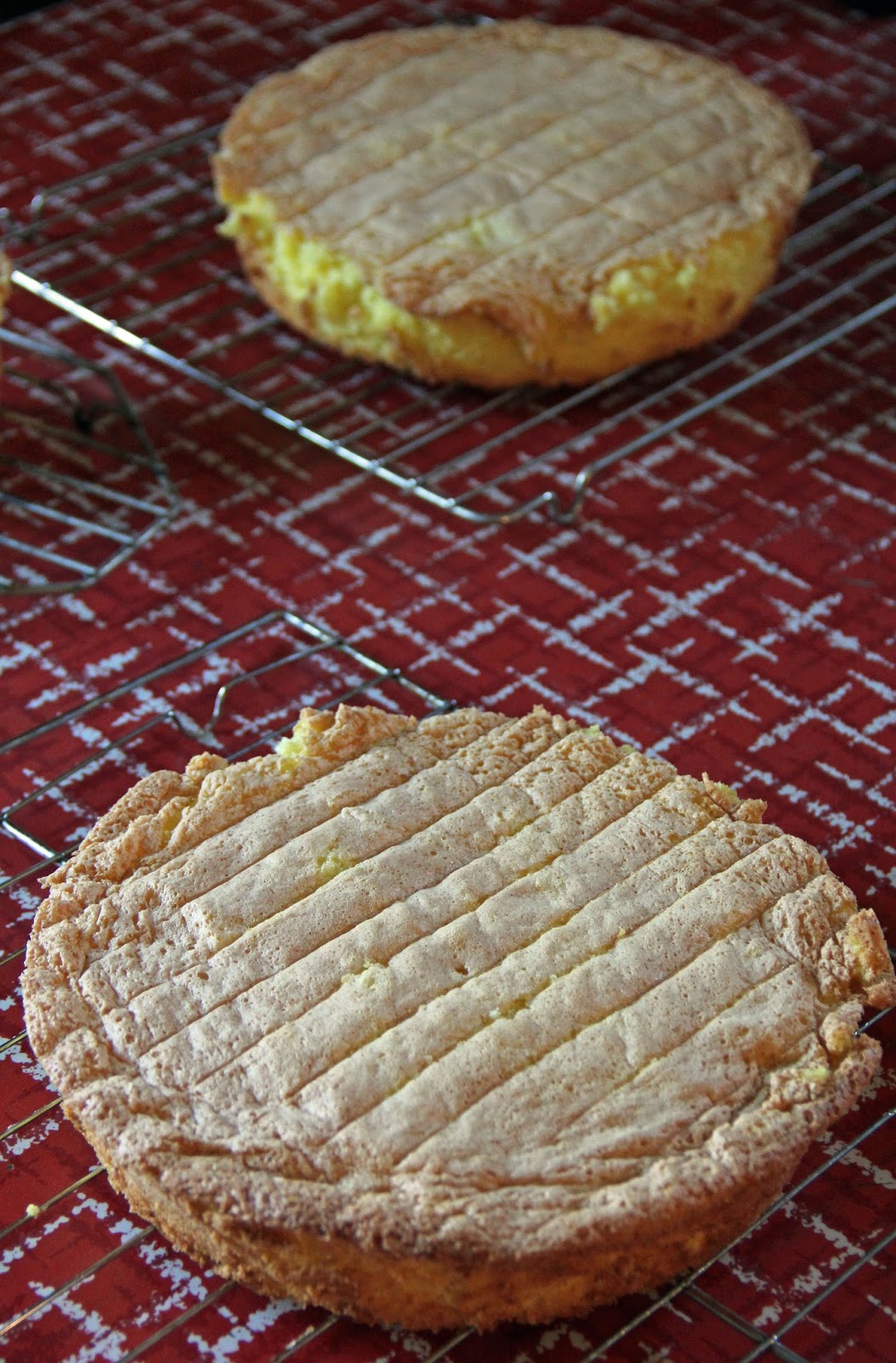 Jo and Sue: Apricot Ambrosia Sponge Cake