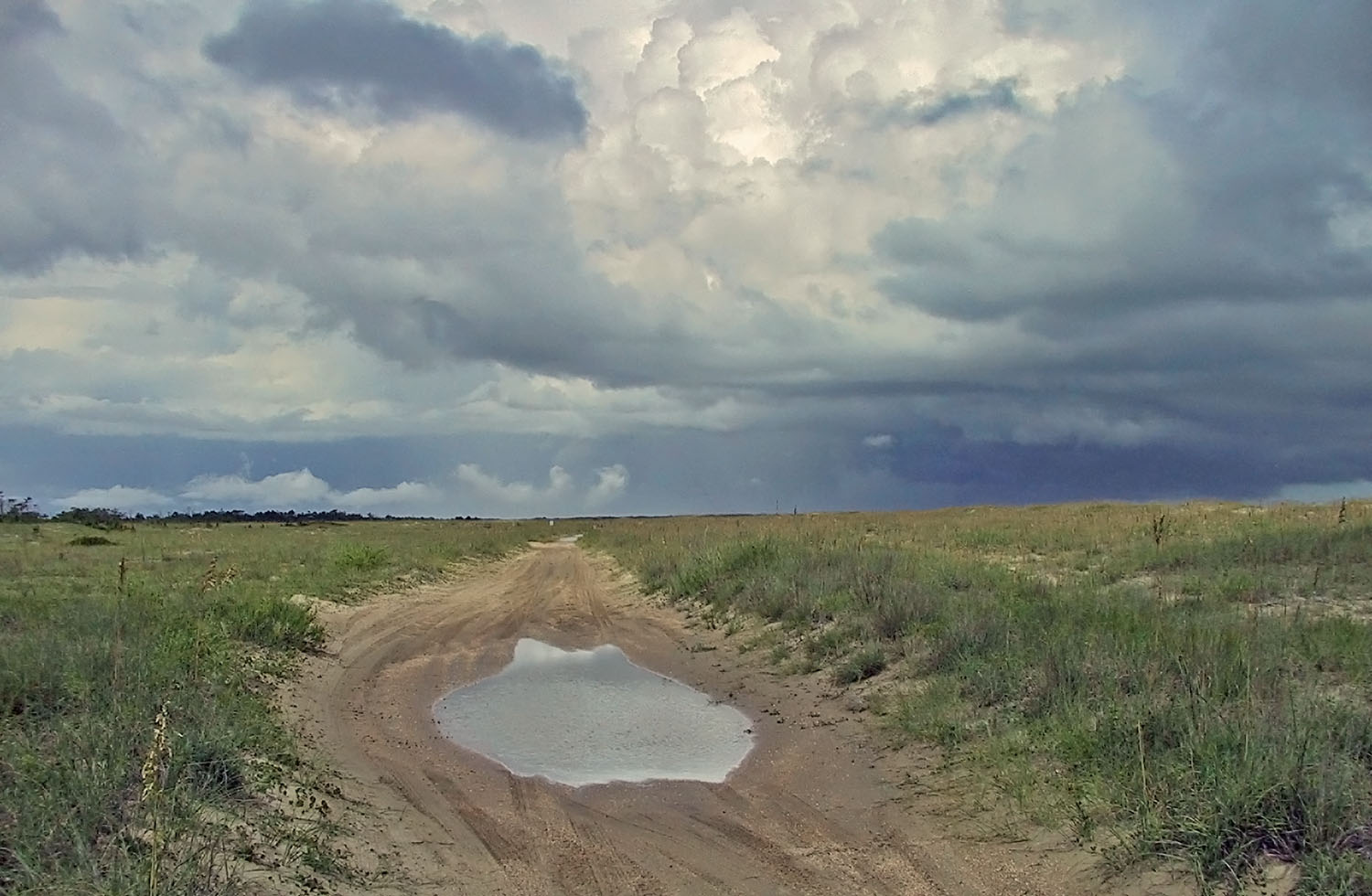 Living the life in Saint-Aignan: Sand and shells on Core Banks NC