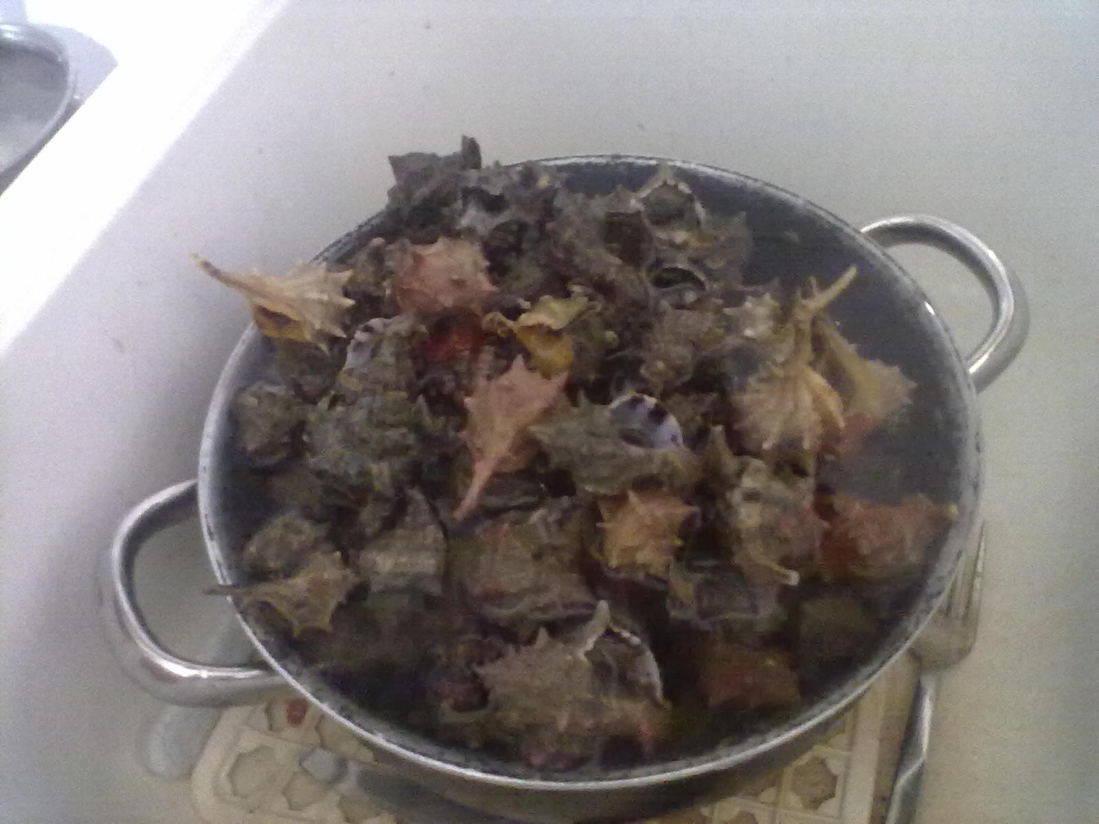 Coccioli di mare | Pomodori verdi fritti