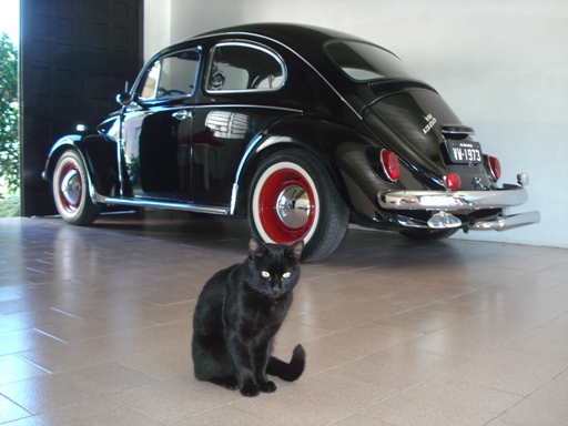 Só Fotos - Just Pictures: Fusca Tunado