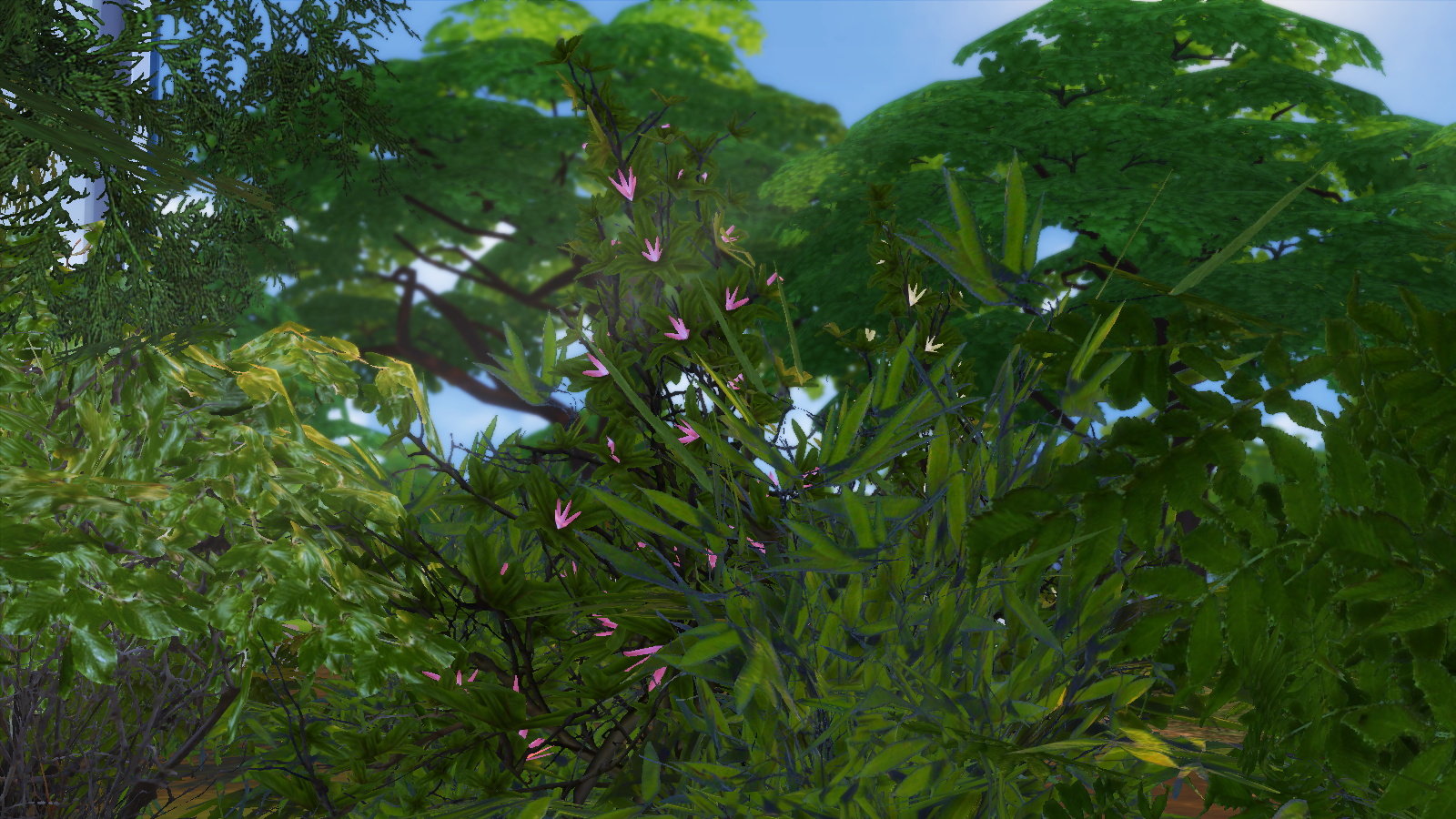 Helen-sims: TS4 Bushes set