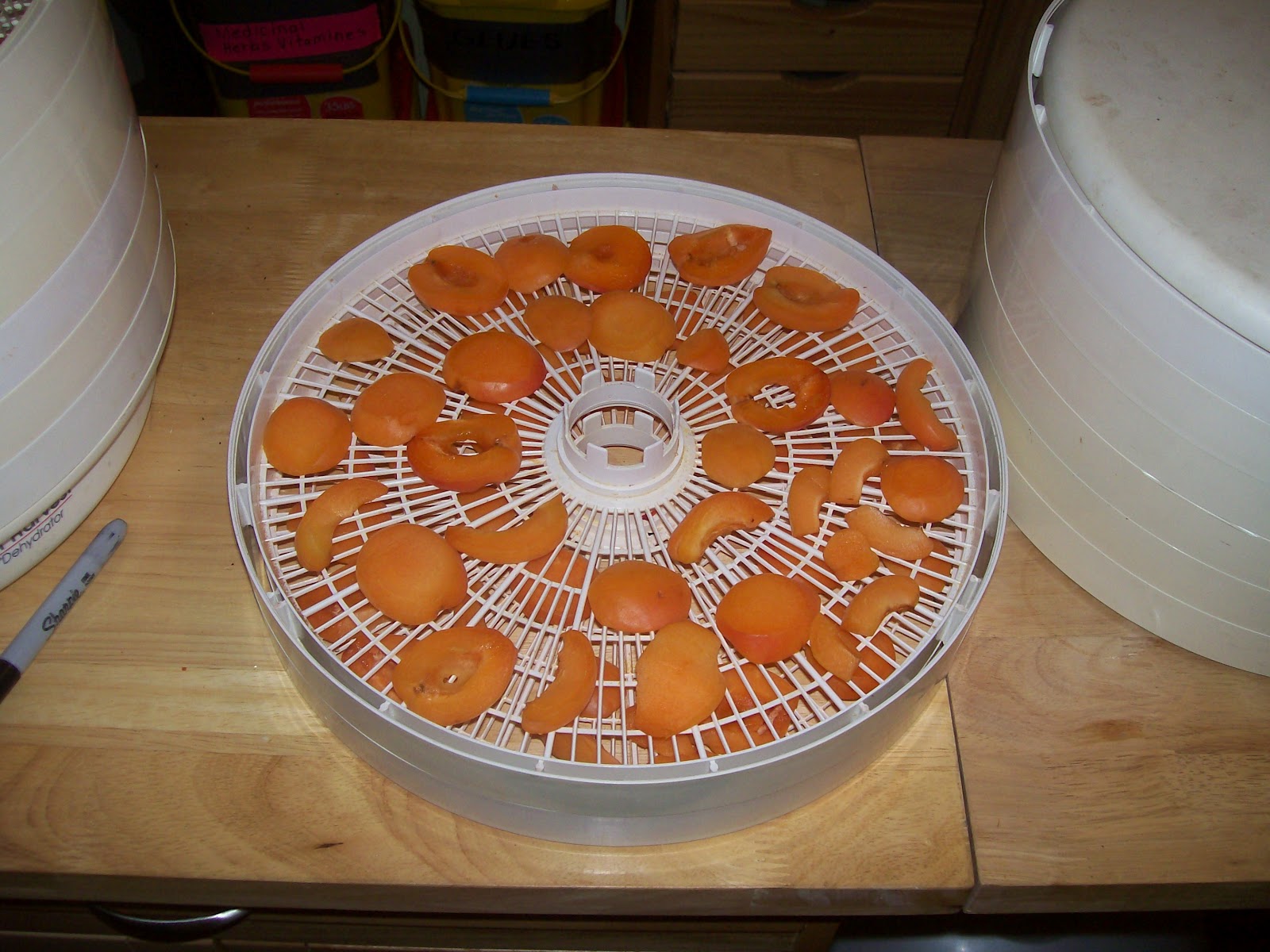 Dehydrating Way Beyond Jerky: Dehydrating Apricots