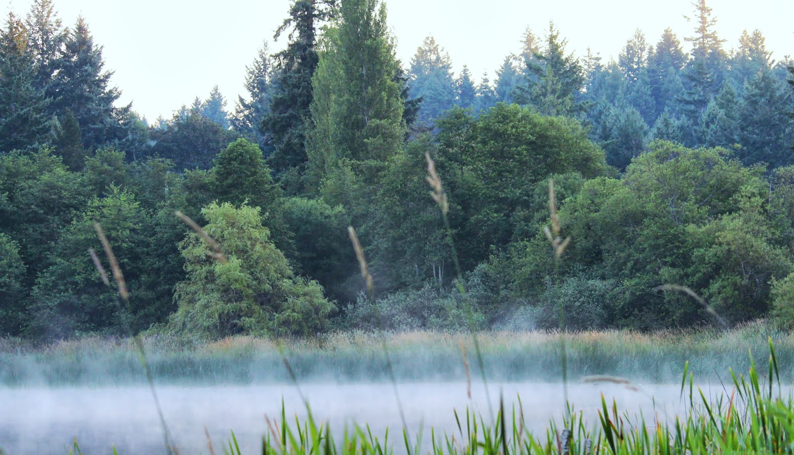 The Murray Chronicles : Lakeside Gardens Resort on Salt Spring Island ...