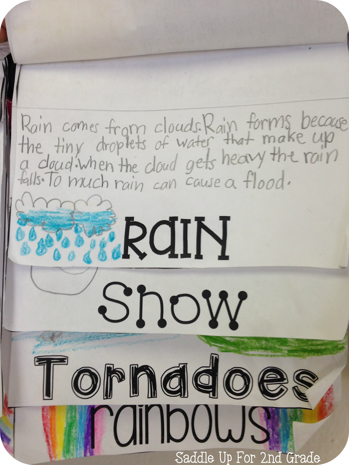 All About Weather - Saddle Up for 2nd Grade