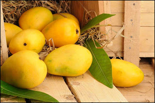 The Legend of Mangoes - THE LEGENDS AND FOLKTALES
